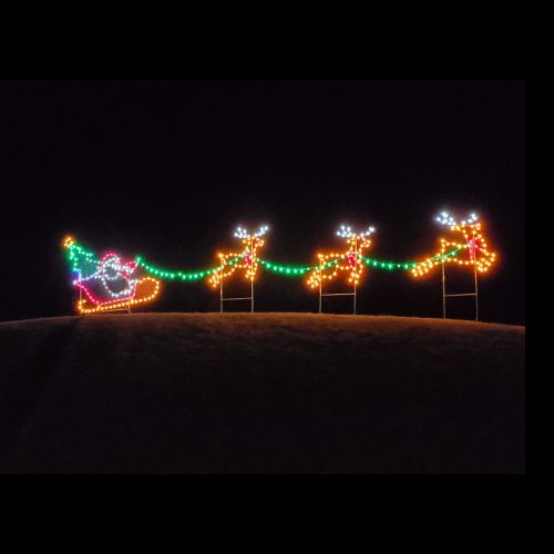 Reindeer Rooftop Display