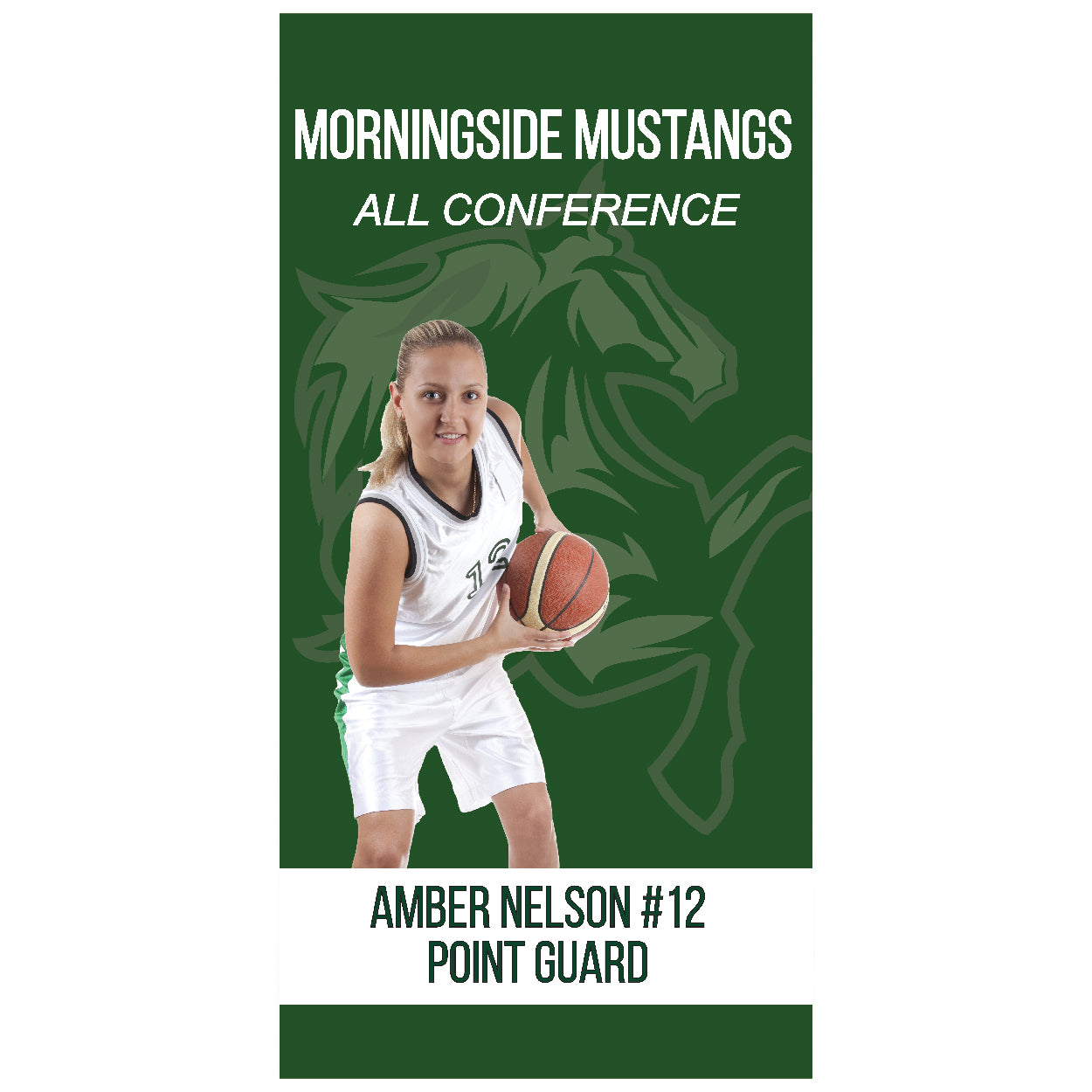 D578 Athletic Banner B - Pole Banner – Display Sales